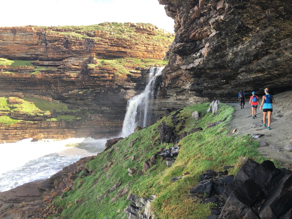 Going wild on the Pondo Drifter North Trail Run – Ecotraveller.co.za
